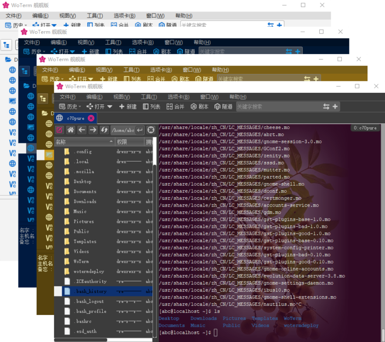 WoTerm – 一站式高效、稳定、专业的终端解决方案